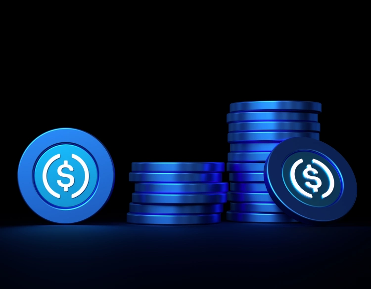 USDC.e vs USDC Explicado